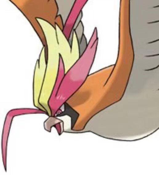 Pidgeot Evolution